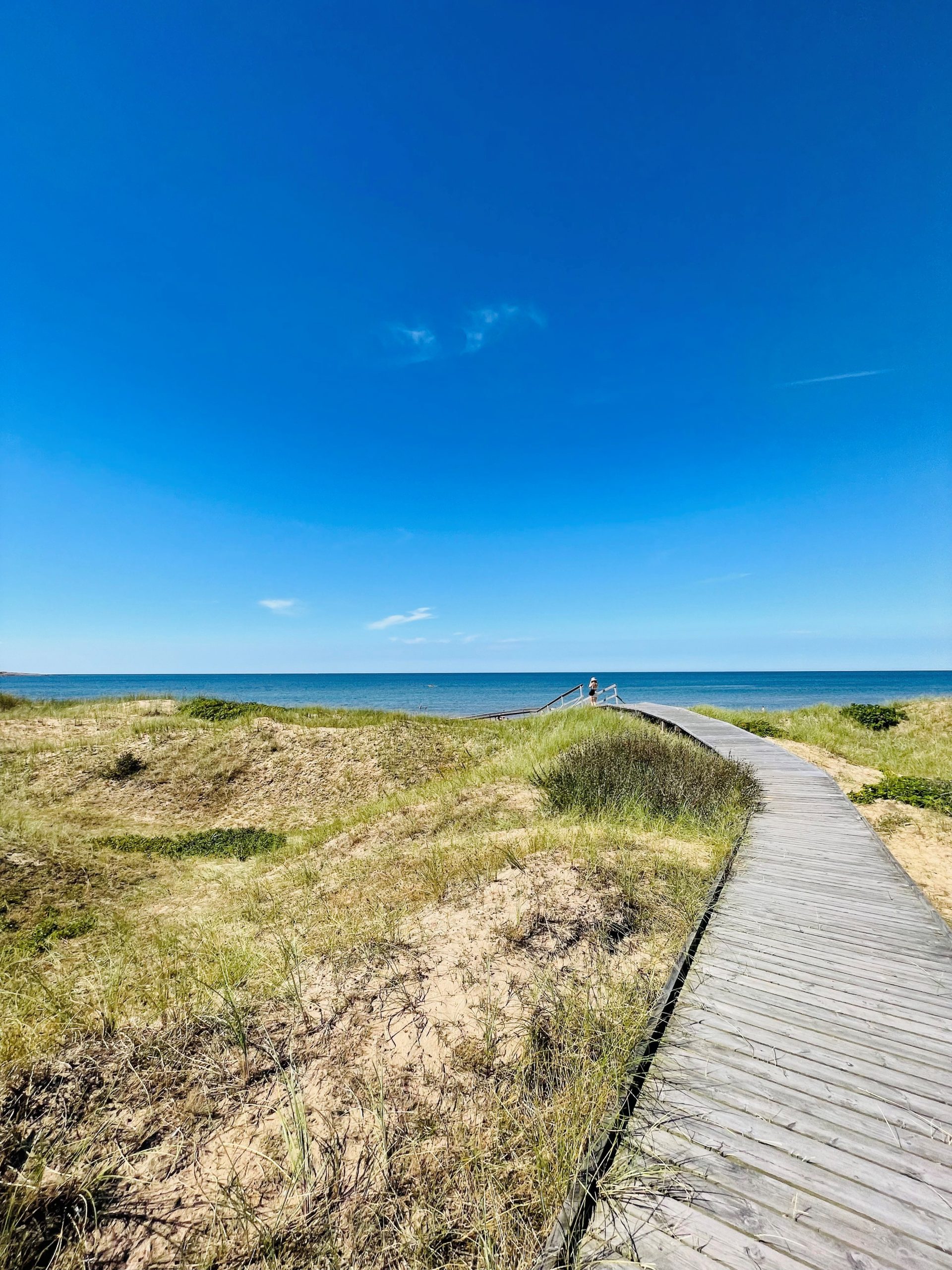 Strand & bad | Aktiviteter på Ringenäs